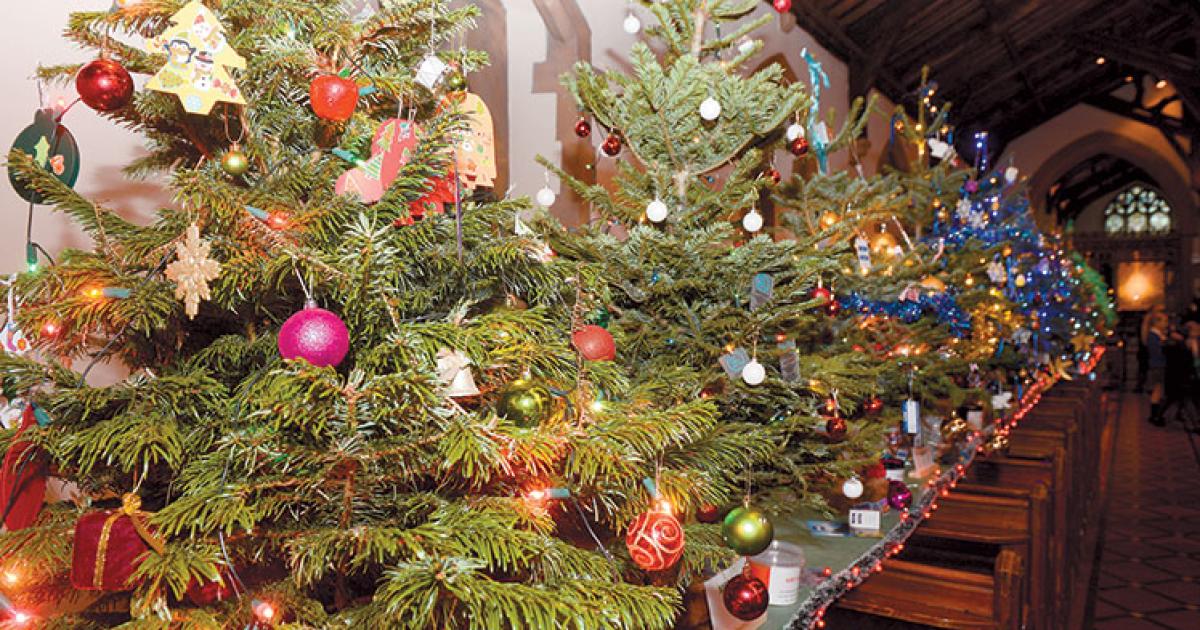 Where to recycle your Christmas trees in the Royal Borough - Windsor ...