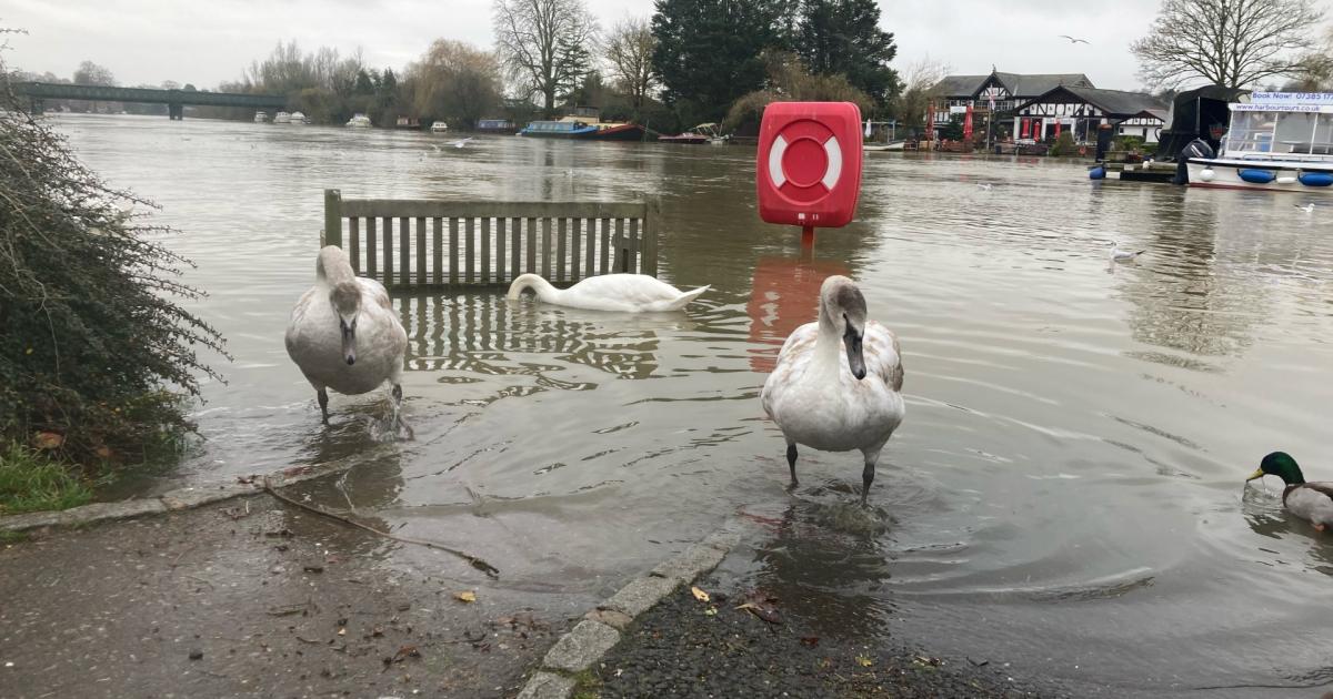 River Thames flood alerts remain in place as waters recede - Windsor ...