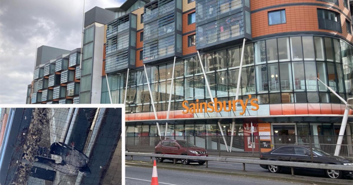 Sainsbury's investigates after pigeons caught in ‘death trap’ outside ...