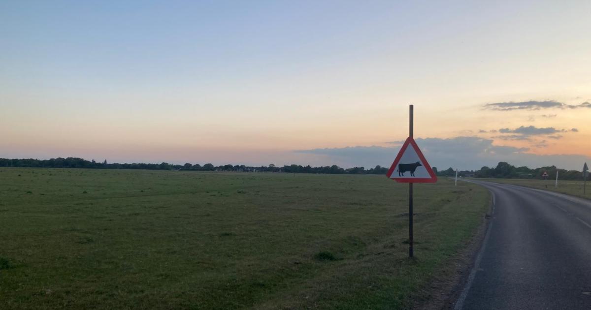 Dorney Common farmer remembers ‘dreaded call’ to help cow killed after ...