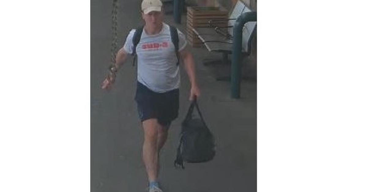 Appeal after man touches himself in front of girl, 15, on Elizabeth ...