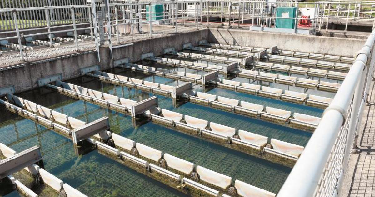 South East Water submits plans for Bray expansion - Photo 1 of 1 ...