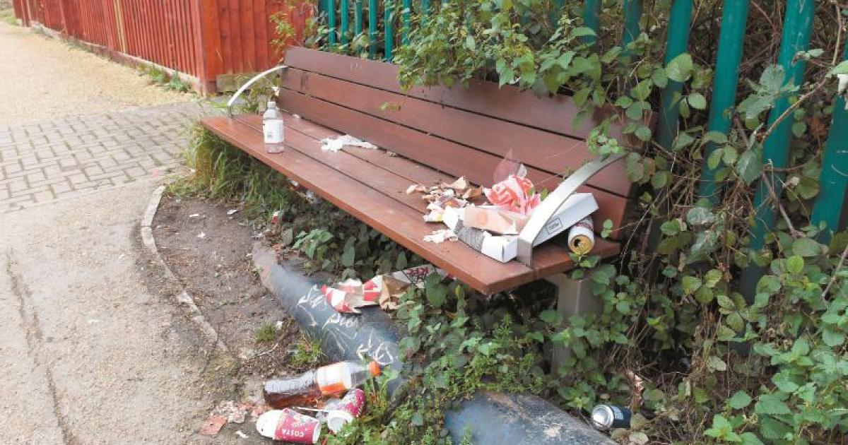 Views wanted on environmental crime officers - Photo 1 of 1 - Windsor ...