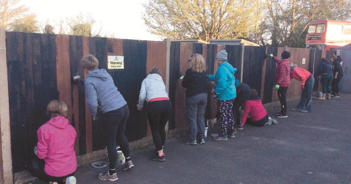 Learn about getting exercise and volunteering in one fell swoop ...