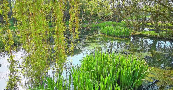 The Big Picture: The pond in Cippenham village by Chris Mummery ...