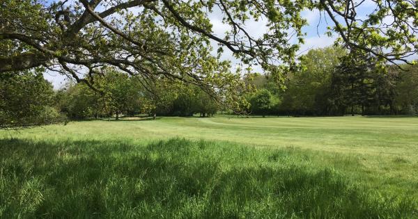 Maidenhead Golf Course plan voted through after four-hour discussion ...
