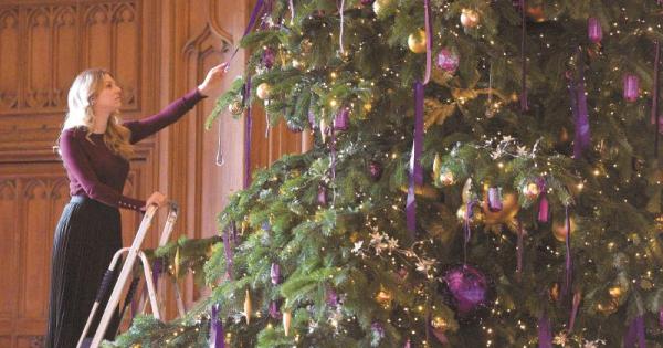 Festive season kicks off in Windsor Castle with 20 ft tree - Photo 1 of ...