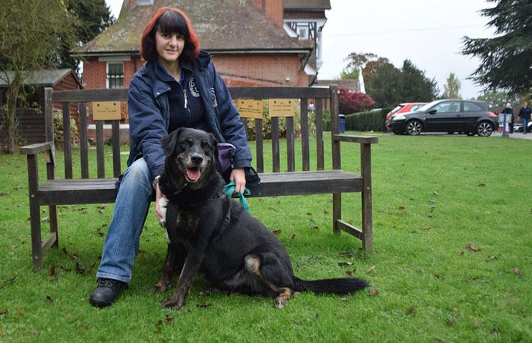 Battersea’s ‘cuddliest’ dog hoping to find home for Christmas - Photo 1 ...