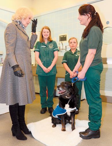 In pictures: Duchess of Cornwall visits Battersea home in Old Windsor ...