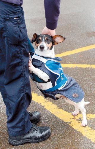 In pictures: Duchess of Cornwall visits Battersea home in Old Windsor ...