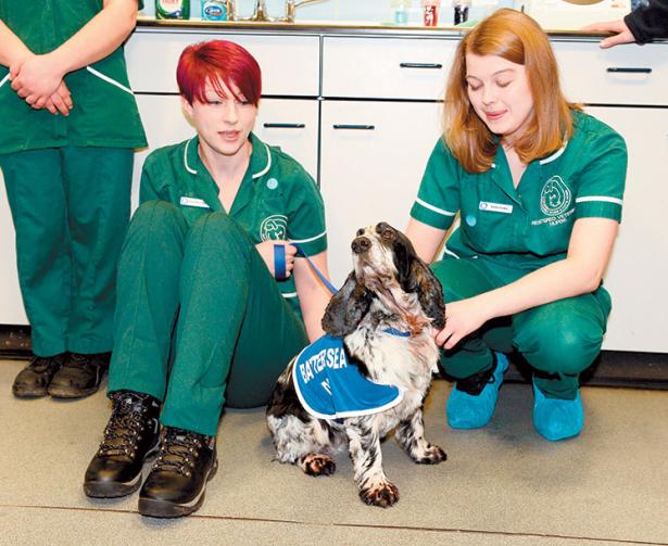 In pictures: Duchess of Cornwall visits Battersea home in Old Windsor ...