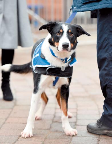 In pictures: Duchess of Cornwall visits Battersea home in Old Windsor ...
