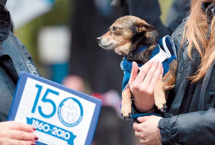 In pictures: Duchess of Cornwall visits Battersea home in Old Windsor ...
