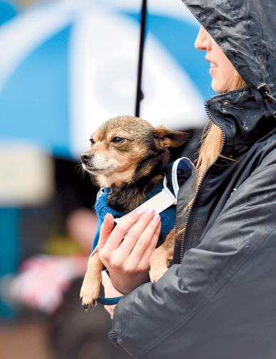 In pictures: Duchess of Cornwall visits Battersea home in Old Windsor ...