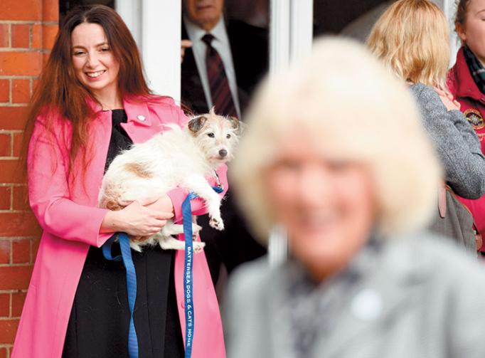 In pictures: Duchess of Cornwall visits Battersea home in Old Windsor ...