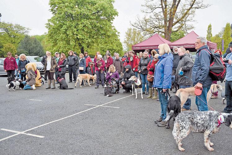 In pictures: Countdown's Rachel Riley joins hundreds of dogs for ...
