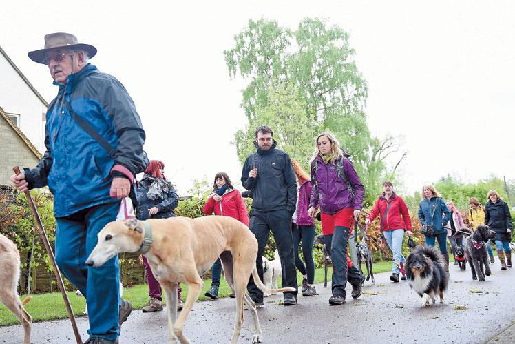 In pictures: Countdown's Rachel Riley joins hundreds of dogs for ...