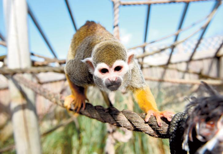 Feature: Inside the new reptile room at BCA zoo - Photo 1 of 29 ...