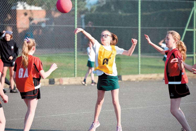 In pictures: Primary school pupils face off in netball tournament ...