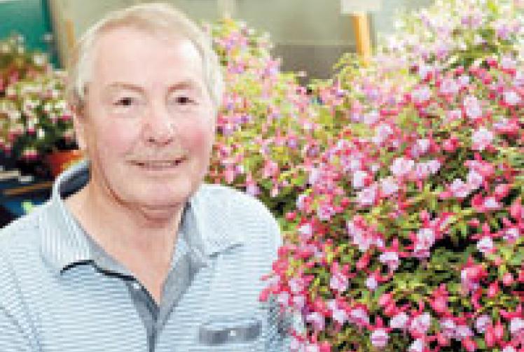 British Fuchsia Society president judges Windsor show - Windsor Express