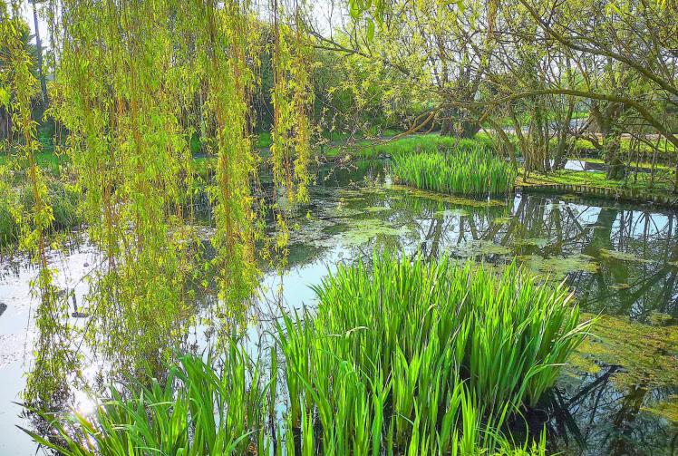 The Big Picture: The pond in Cippenham village by Chris Mummery ...