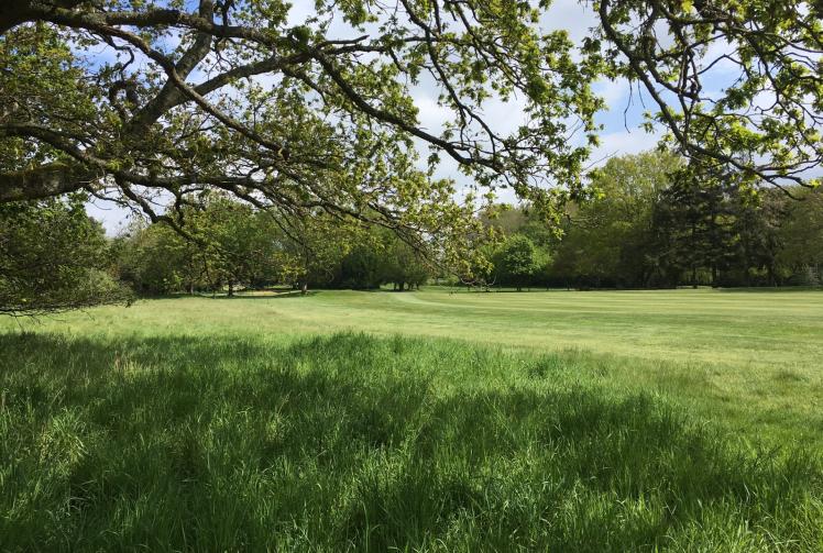 Maidenhead Golf Course plan voted through after four-hour discussion ...