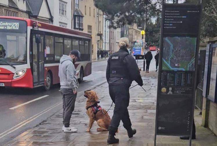 Police search dogs to be trained to sniff out drugs connected with ...