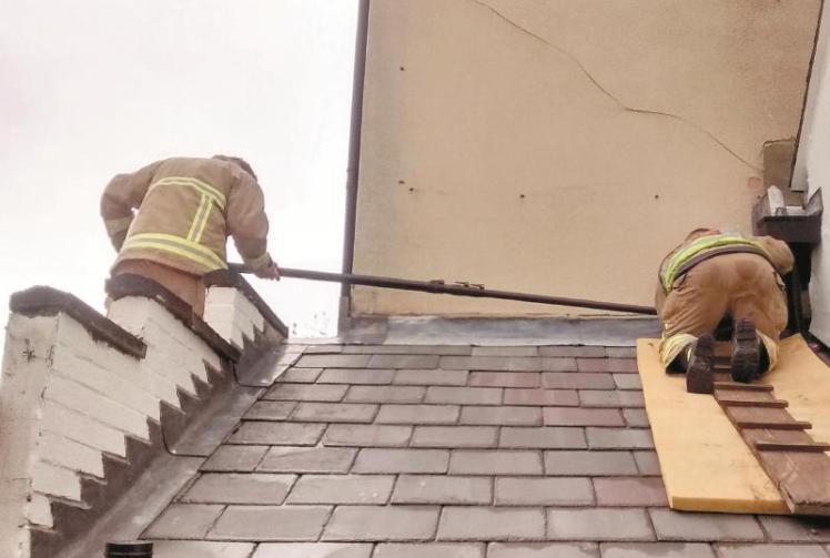 Datchet cat rescued after being stuck inside wall - Photo 1 of 1 ...