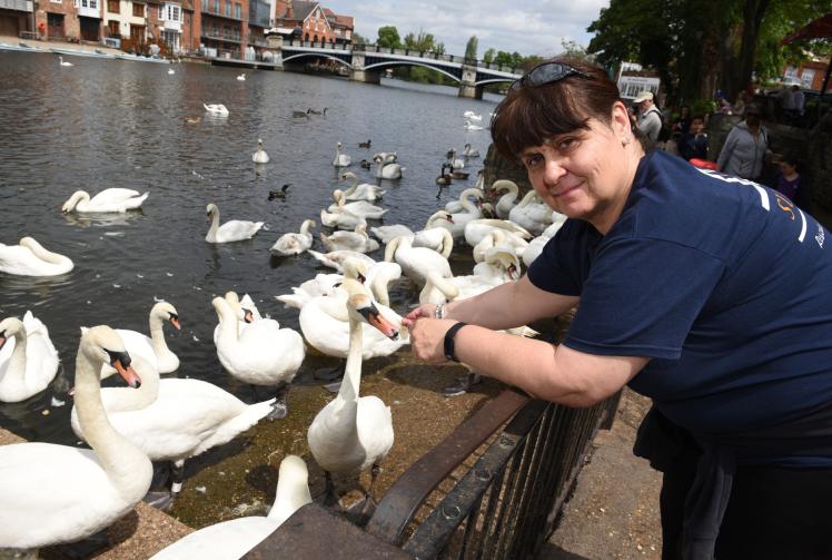 Pedalo challenge to support new swan rescue centre - Windsor Express