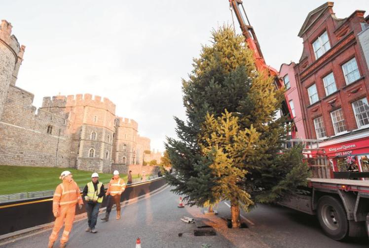 Christmas tree installed in Windsor Town Centre - Photo 1 of 1 ...