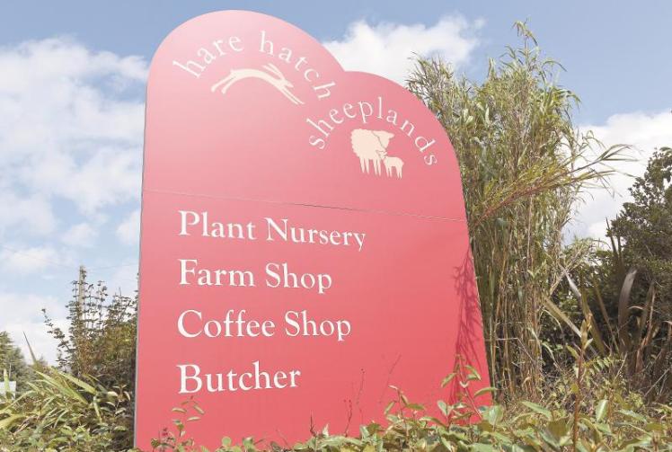 Council approves plans to transform Hare Hatch Sheeplands into garden ...