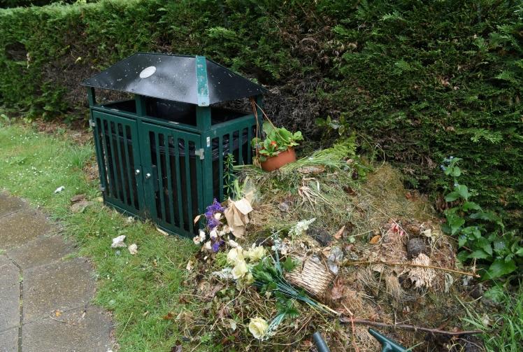 Poor staff performance blamed for historic grass cutting woes in Royal ...