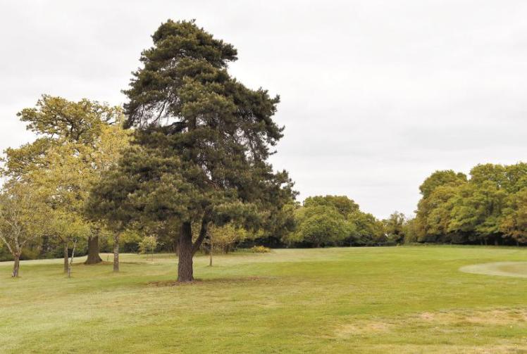 Maidenhead golf course plans recommended for approval - Windsor Express