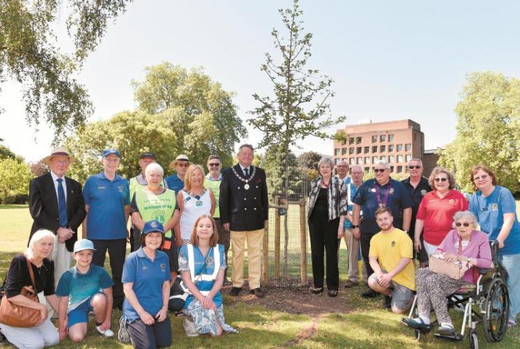 Tree unveiled in Kidwells Park to mark 50 years of Maidenhead Lions ...